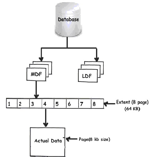 SQL Server interview questions: - What are page, extents, page header ... SQL Server interview questions: - What are page, extents, page header ...